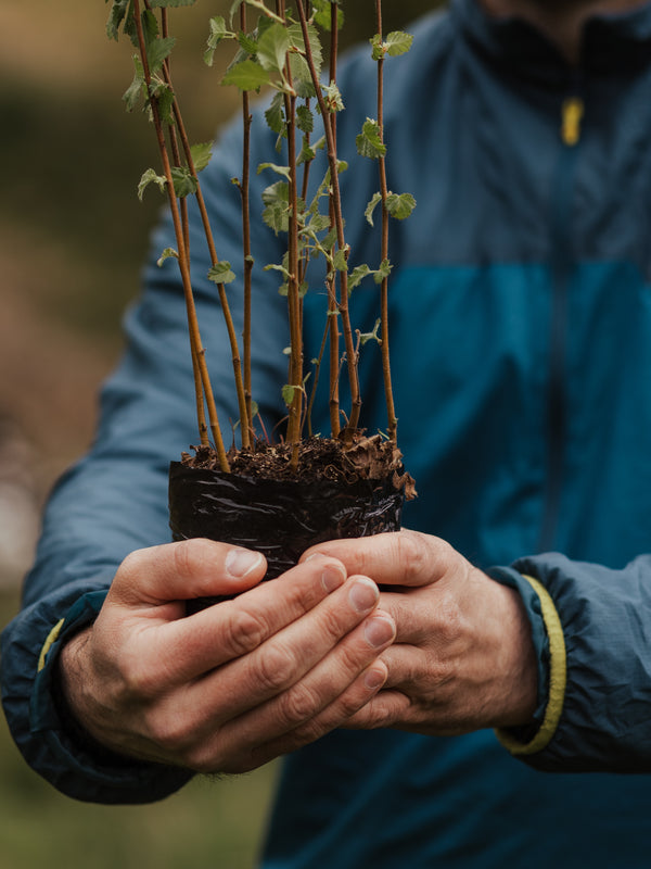 Find Your Perfect Wedding Ring Quiz · Rachel Boston